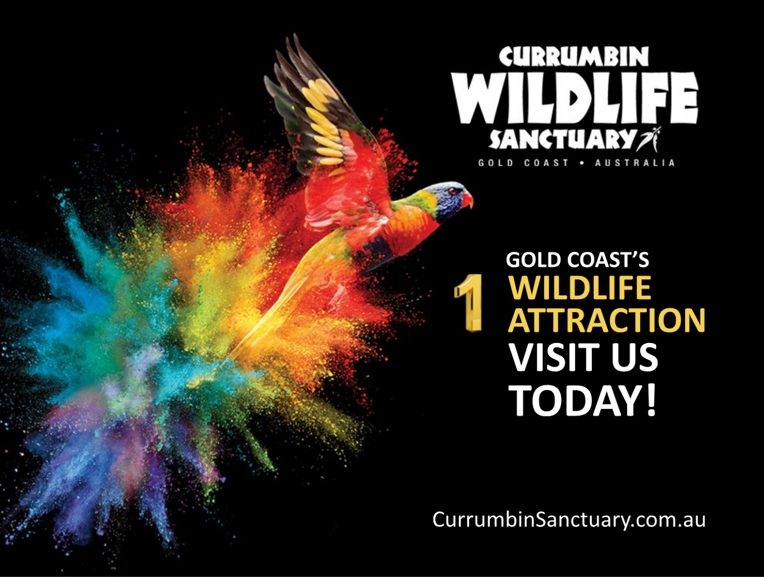 Gold Coast - GeckoSports